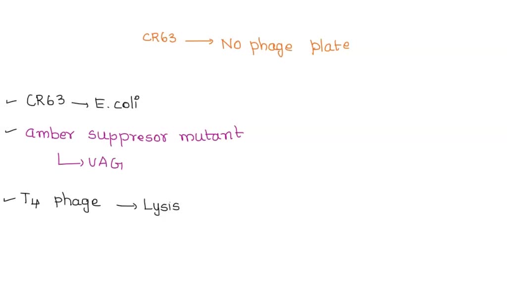 SOLVED: Do the plates with CR63 to which phages were added look the ...