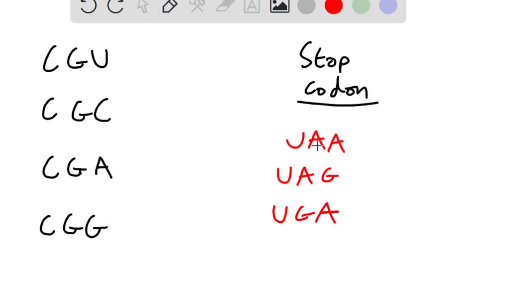 SOLVED: Acodon that specifies the amino acid Arginine (Arg) undergoes ...