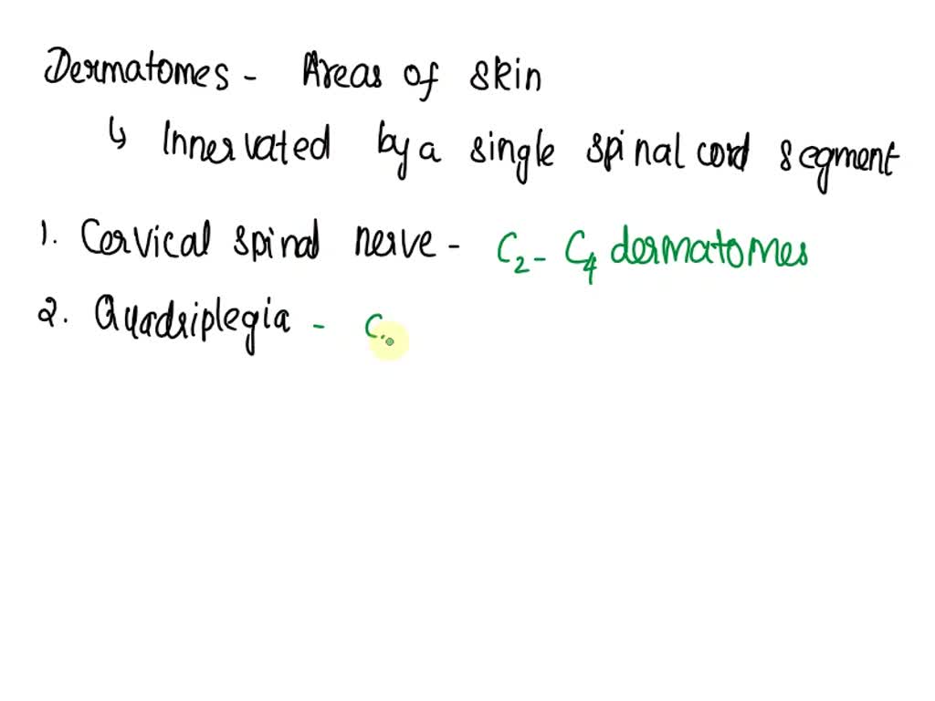 SOLVED: This image shows a dermatome map indicating areas of the skin ...