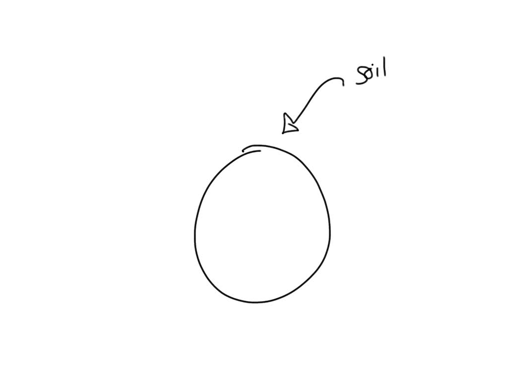 SOLVED: Question 10 ps Pour plate method produces colofies of the same ... SOLVED: Question 10 ps Pour plate method produces colofies of the same ...