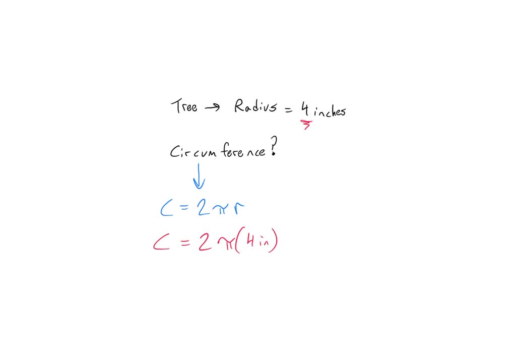 SOLVED: A tree is sold based on the circumference of the tree. If a ...