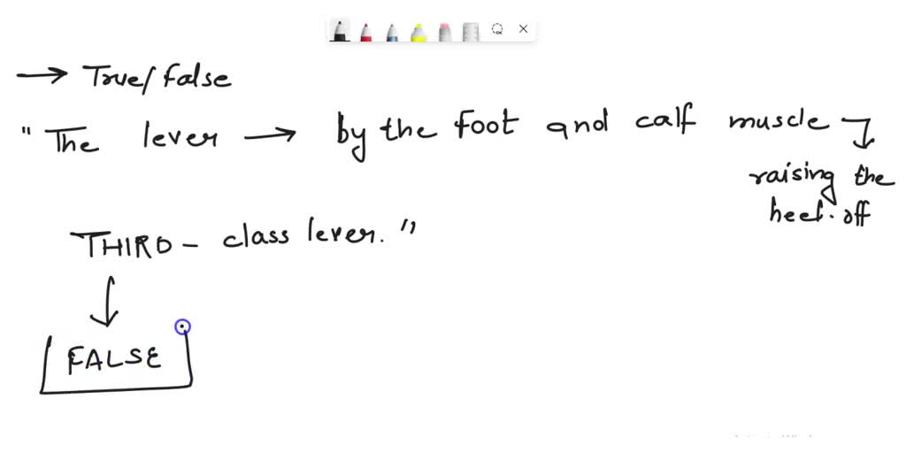 SOLVED: Part A - The Gastrocnemius in a Second-Class Lever System The ...