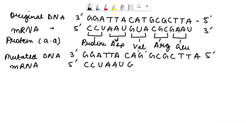 SOLVED: The following DNA sequence has a point mutation marked. Which ...