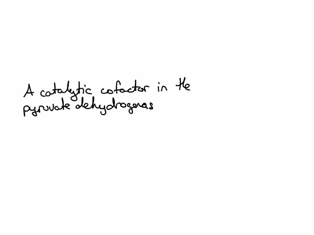 SOLVED: Question 16 1pts Put the stages of anaerobic sludge digestion ... SOLVED: Question 16 1pts Put the stages of anaerobic sludge digestion ...