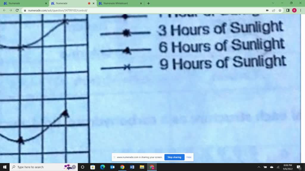 SOLVED: Please help me! Can you answer this for me? Final Study Guide ...