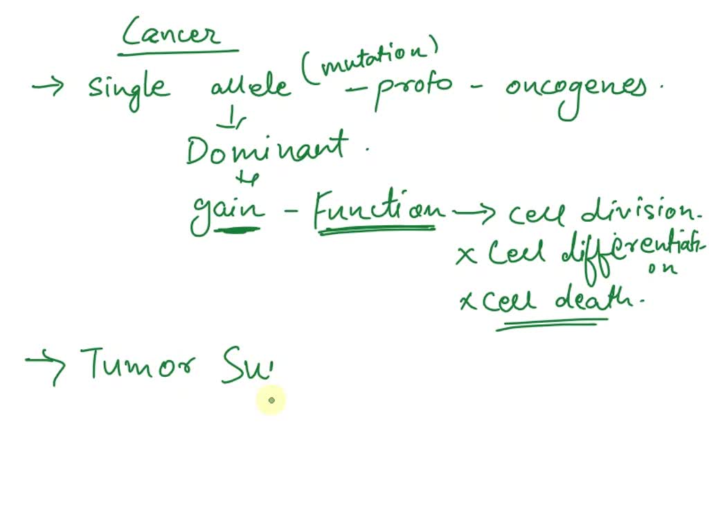 Solved To Cause Cancer Proto Oncogenes Require Therefore Are