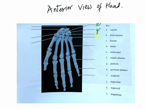 6. Match the terms in the key with the appropriate leader lines on the ...