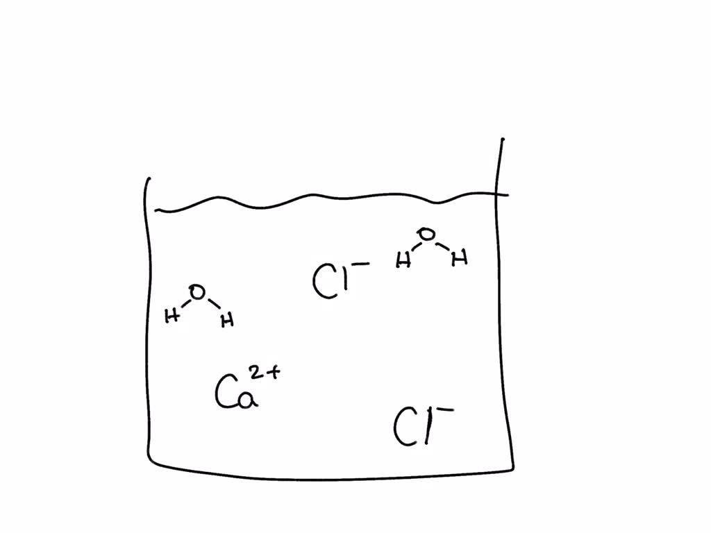Solved Draw An Unsaturated Solution Of Cacl2 Showing At Least One Formula Unit Of Cacl2 And