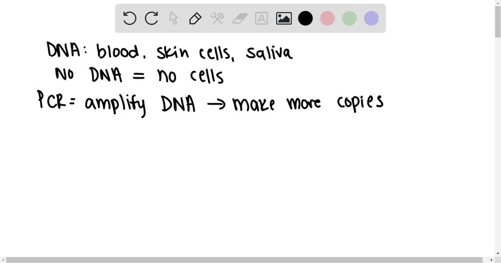 SOLVED: Lab #10: PCR AND ALLELE IDENTIFICATION DATA SHEET Questions to ...