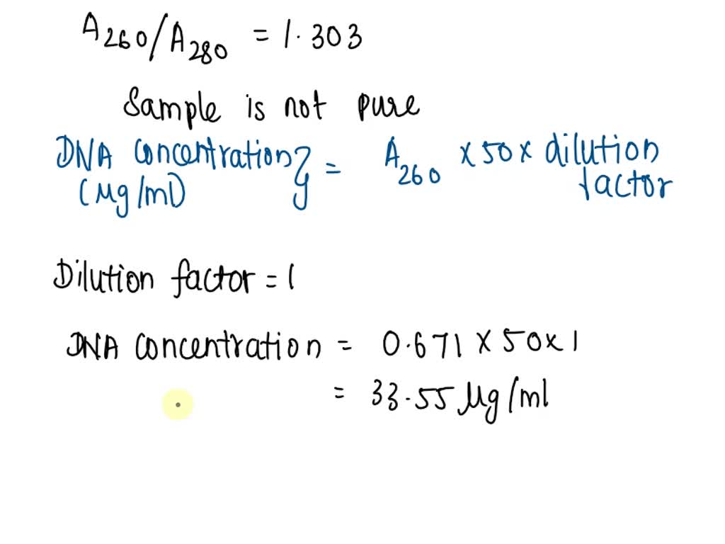 Exercise 2: Calculation of DNA Yield Size Value/Comments DNA ...