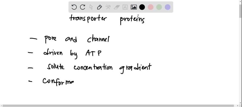 SOLVED: Sort the phrases into the appropriate bins depending on whether they are true only for ...