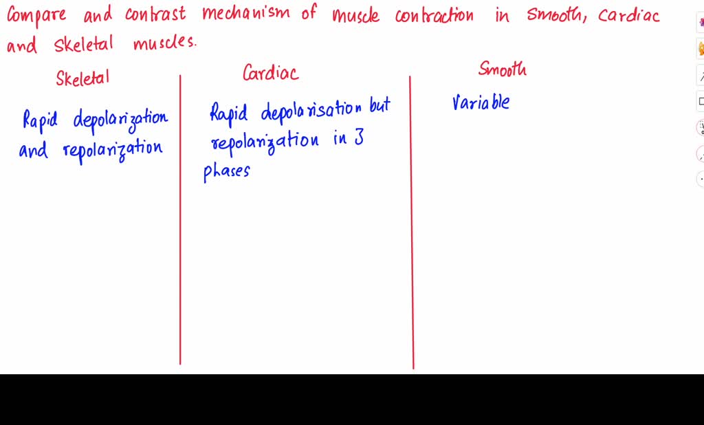 SOLVED Iopic 6 Skeletal Muscle Contraction Describe In Detail and In