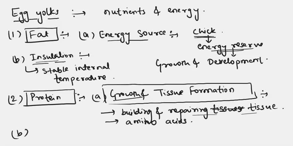 SOLVED: Given that the function of egg yolk is to nourish and support ...