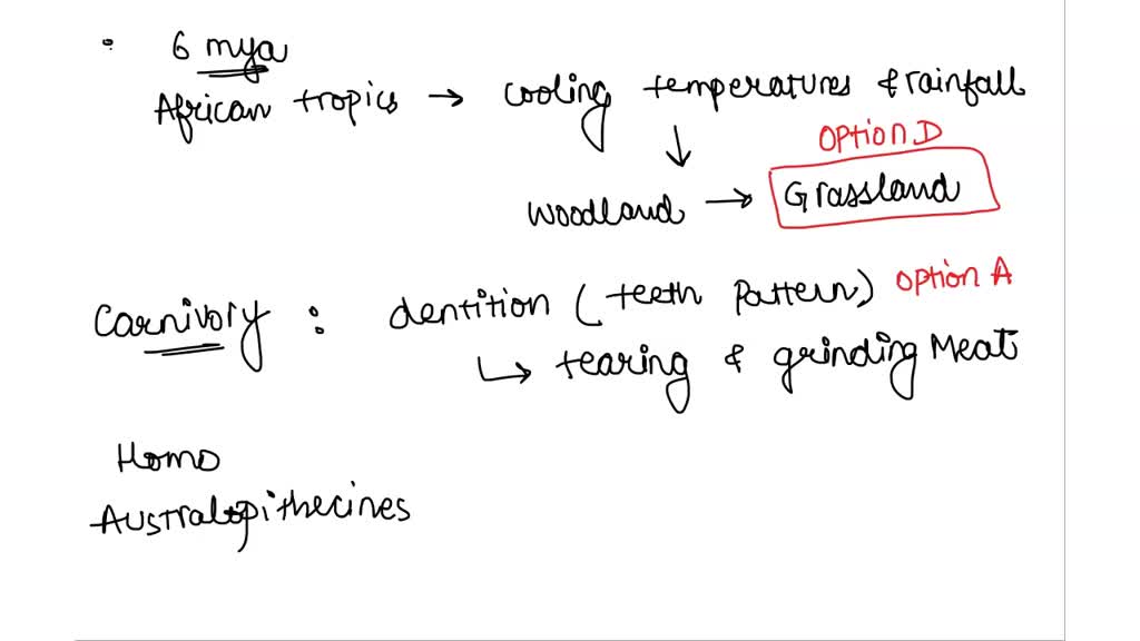 SOLVED: Question 4 0.13 pts All of the following lines of evidence ...