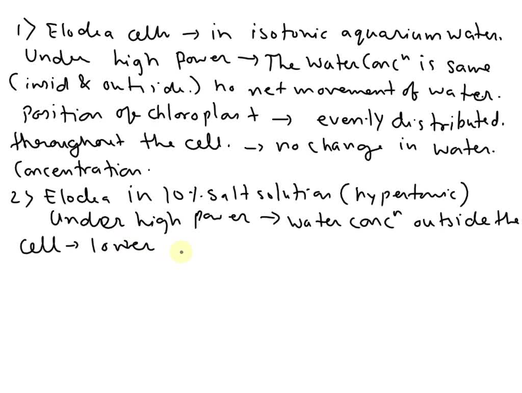 SOLVED: Fan II The Effect of Diffusion and Osmosis on Living Cells ...