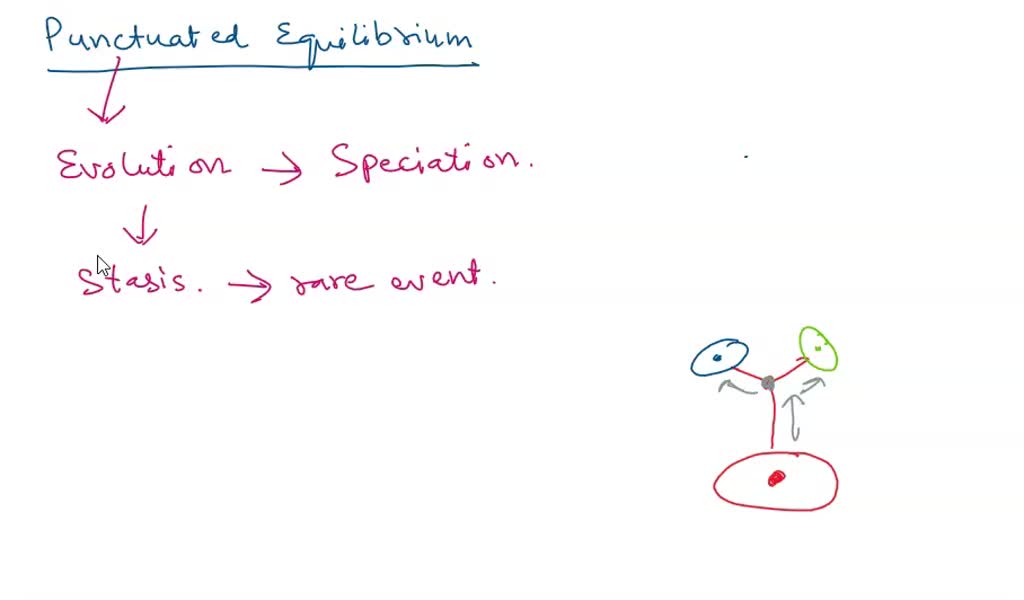 SOLVED: Explain how the red queen hypothesis could be part of punctuated equilibrium? How does ...