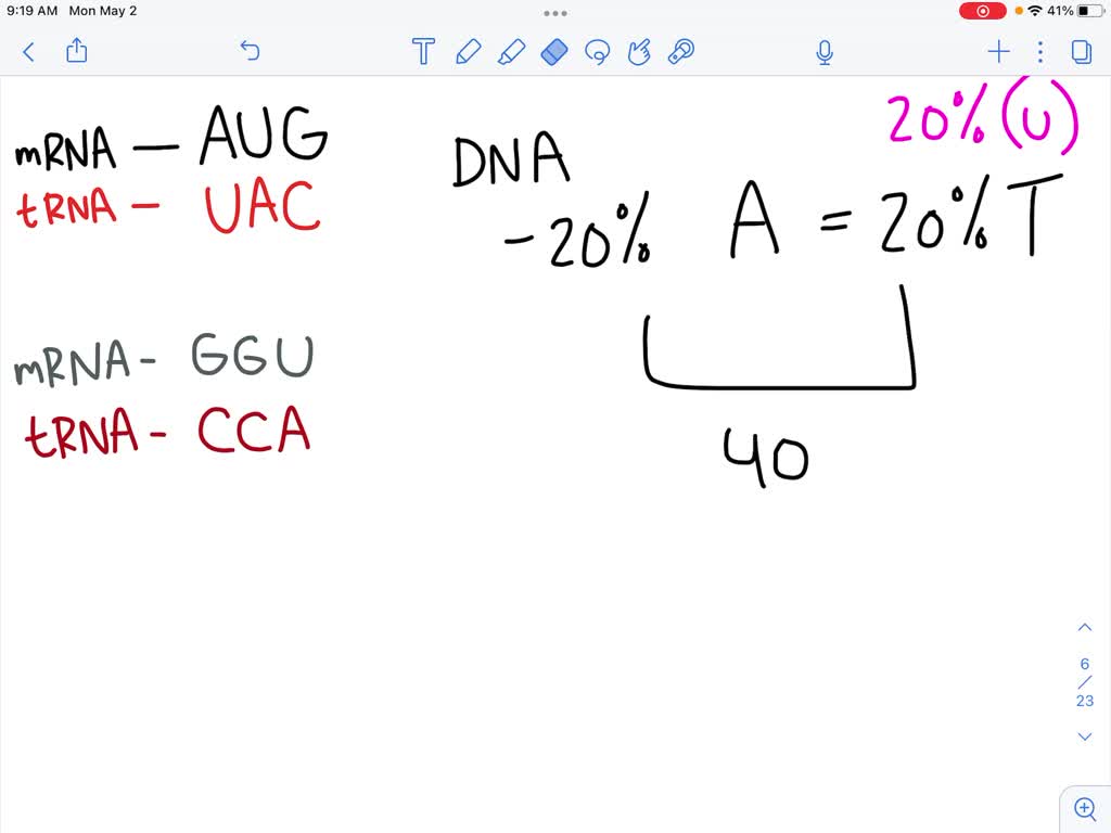 SOLVED: As you can see in Fig: 10.4, a molecule called transfer RNA ...