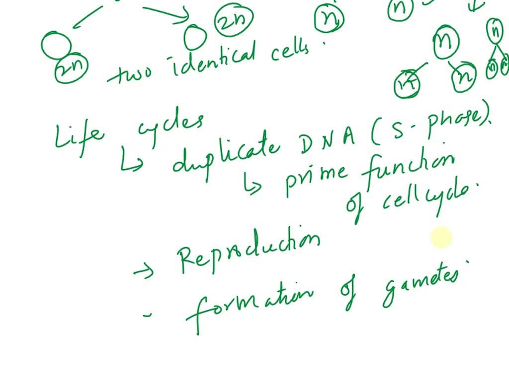 SOLVED: The life cycle of a cell is called 2^(n) Mitosis Meiosis ...