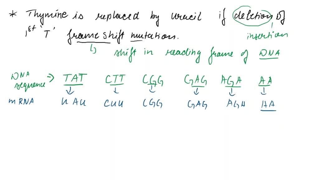 Solved Acids Consider The Following Coding Dna Sequence Specifying Six