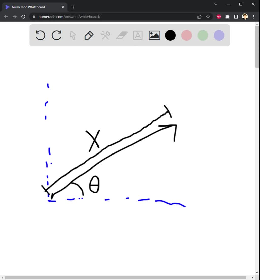 SOLVED: What do you notice about the similarities and differences ...