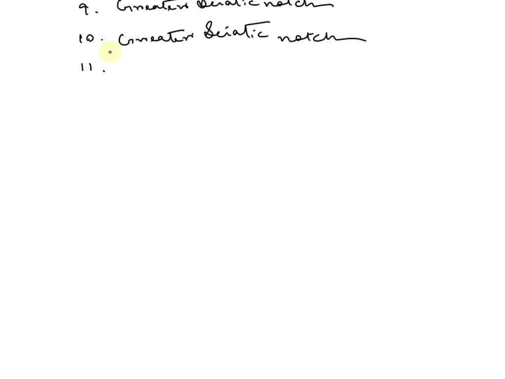 SOLVED: Match the bone names and markings in column B with the descriptions in column A. The ...