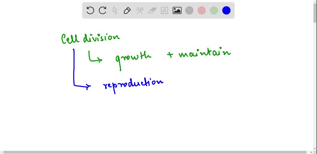 SOLVED: How does a multicellular organism grow? A. by cell division B ...