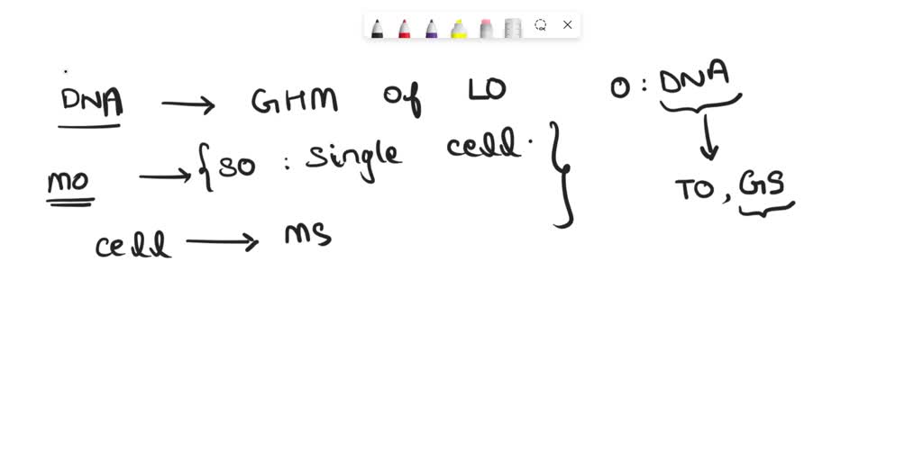 SOLVED: Question 28 2ps Please write down the DNA sequence Inferred ... SOLVED: Question 28 2ps Please write down the DNA sequence Inferred ...