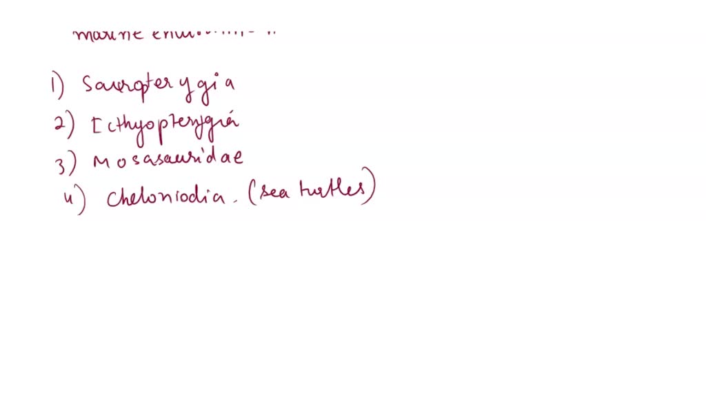 SOLVED: Chapter 9 Worksheet: Marine Reptiles, Birds, and Mammals What ...