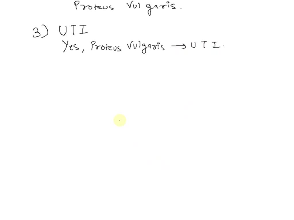 SOLVED: Proteus mirabilis produces the enzyme urease, which converts ...