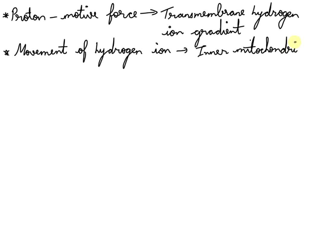 SOLVED: What is the proton-motive force? the force provided by a ...