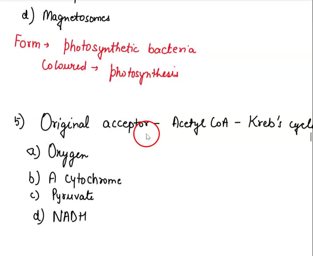 SOLVED: Question 4 (2 points) Photosynthesis in bacteria occurs in ... SOLVED: Question 4 (2 points) Photosynthesis in bacteria occurs in ...