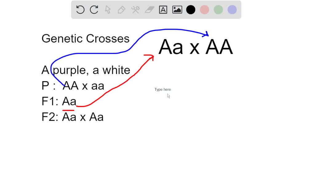 SOLVED: Question 18 (1 point) When Mendel set up a Parental (P) cross ...
