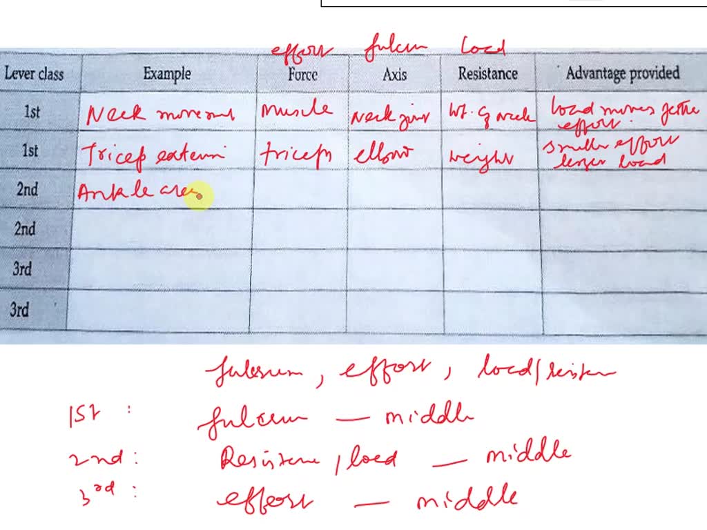 1. Lever component identification chart The advantage of using each lever - that is, whether it ...