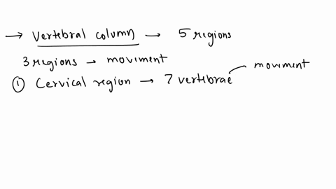Vertebral Column - Regions and Number of Vertebra The...