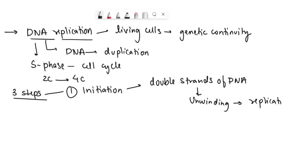 SOLVED: Mechanisms of DNA replication termination step by step summary