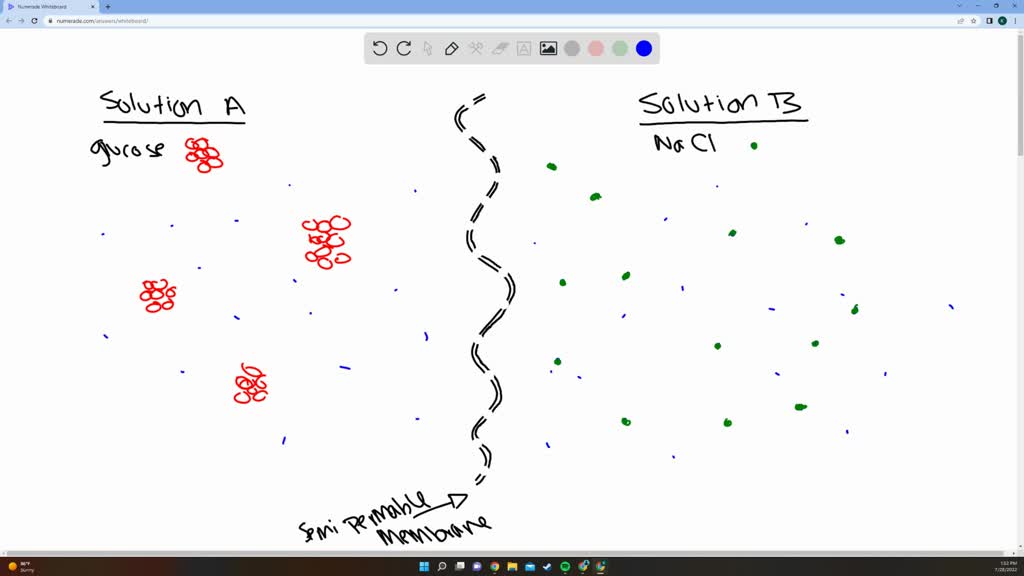 SOLVED: Two containers are separated by a semipermeable membrane that ...