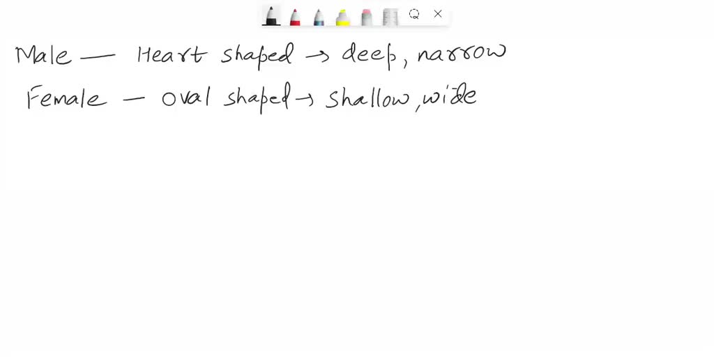 complete chart on how these structures differ between male and female ...