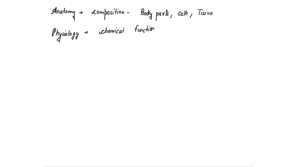 SOLVED: Give an example of an aspect of human physiology that is governed by biomechanics ...