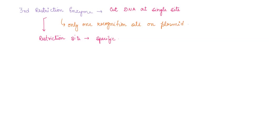 SOLVED: Which following characteristic is associated with ...