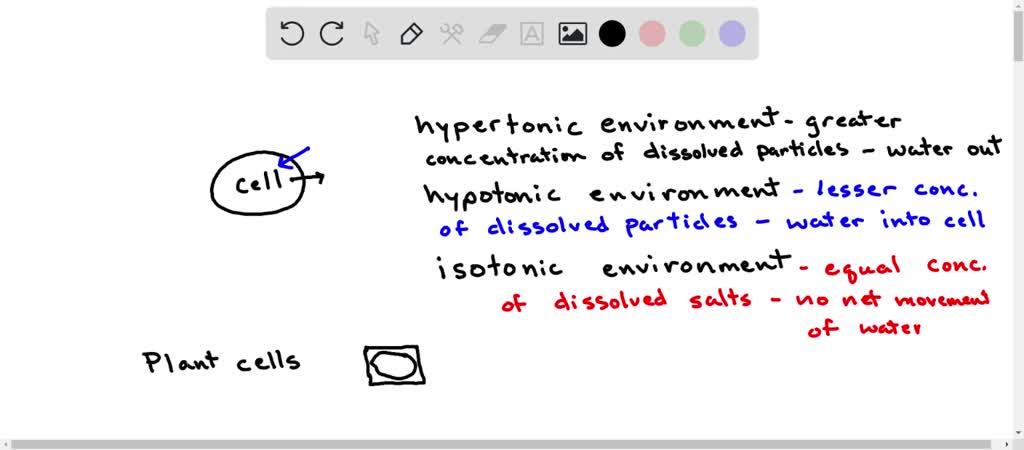 SOLVED: Match the type of tonicity that plant and animal cells "prefer ...