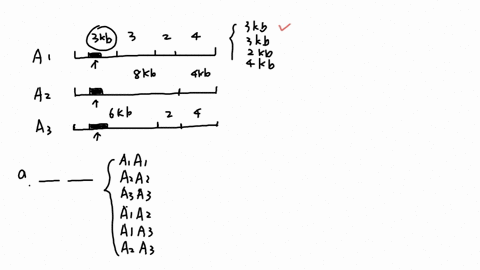 SOLVED:The thick horizontal lines shown below represent alternative DNA ...