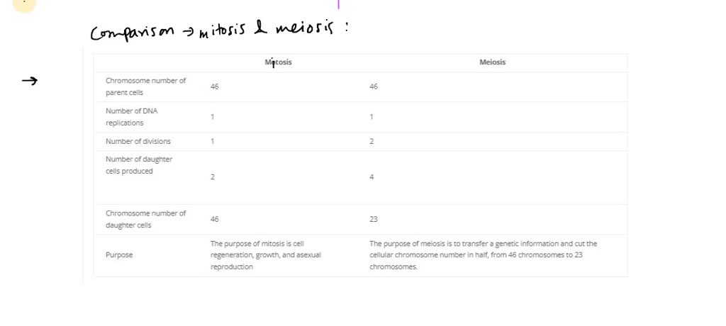 SOLVED: 1. Post-Lab Question from Mitosis Meiosis Lab > You focused on ... SOLVED: 1. Post-Lab Question from Mitosis Meiosis Lab > You focused on ...