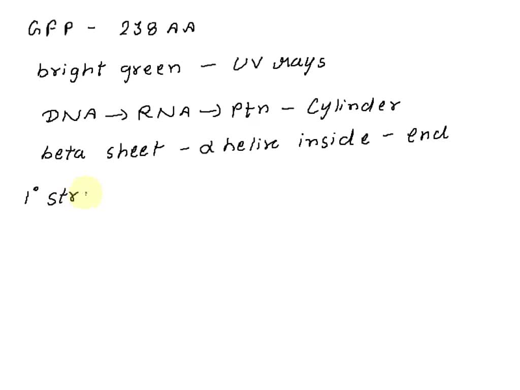 SOLVED: describe the primary, secondary and tertiary structure of Green ...