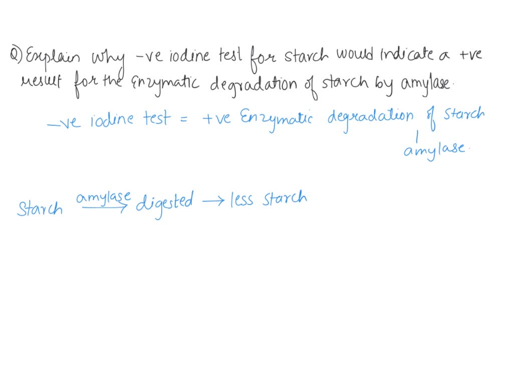 SOLVED: Aid Explain why negative iodine test for starch would L ...