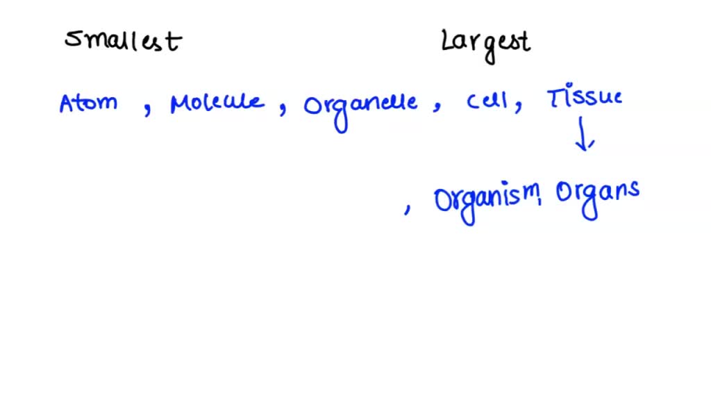 SOLVED: organism ecosystem cell community organ system organelle tissue ...