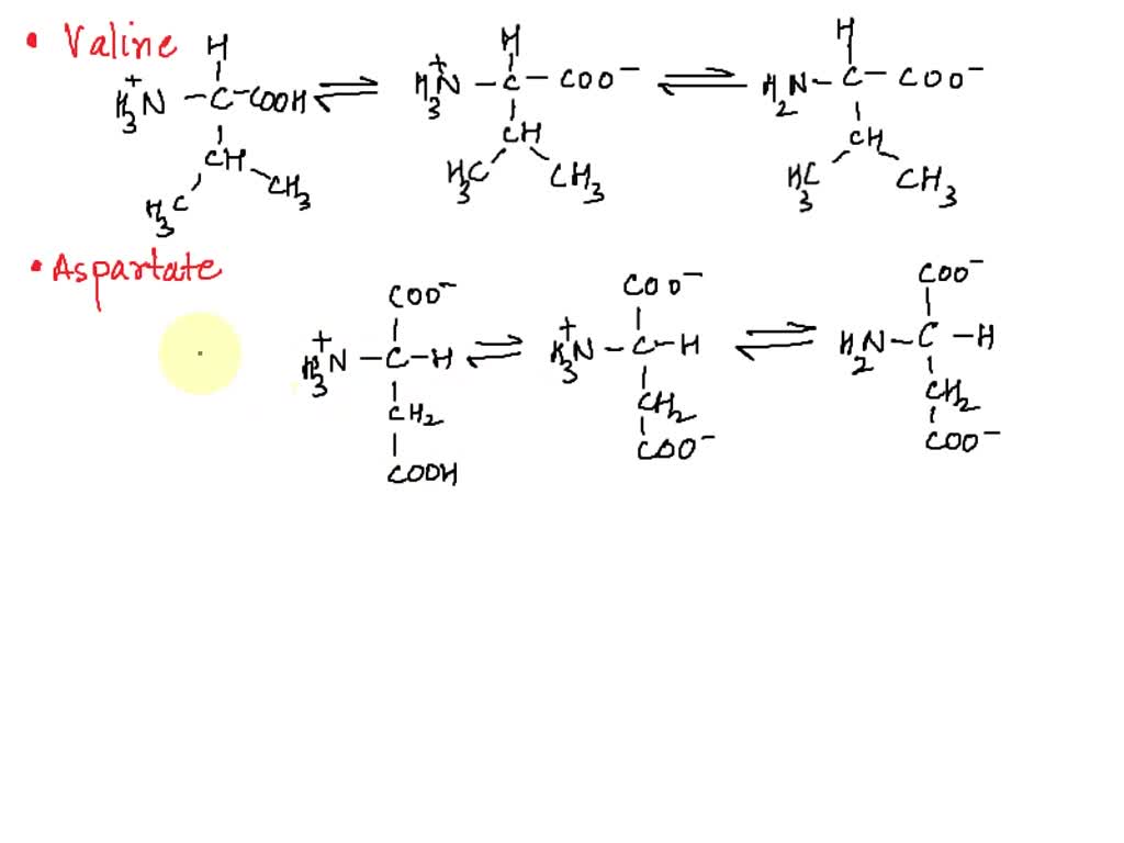 SOLVED: equation for the ionic dissociation reactions of the amino ...