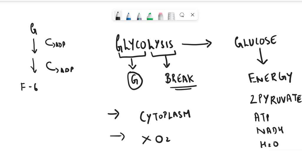 SOLVED: What is glycolysis and where in the cell does it occur? What are the two main functions ...