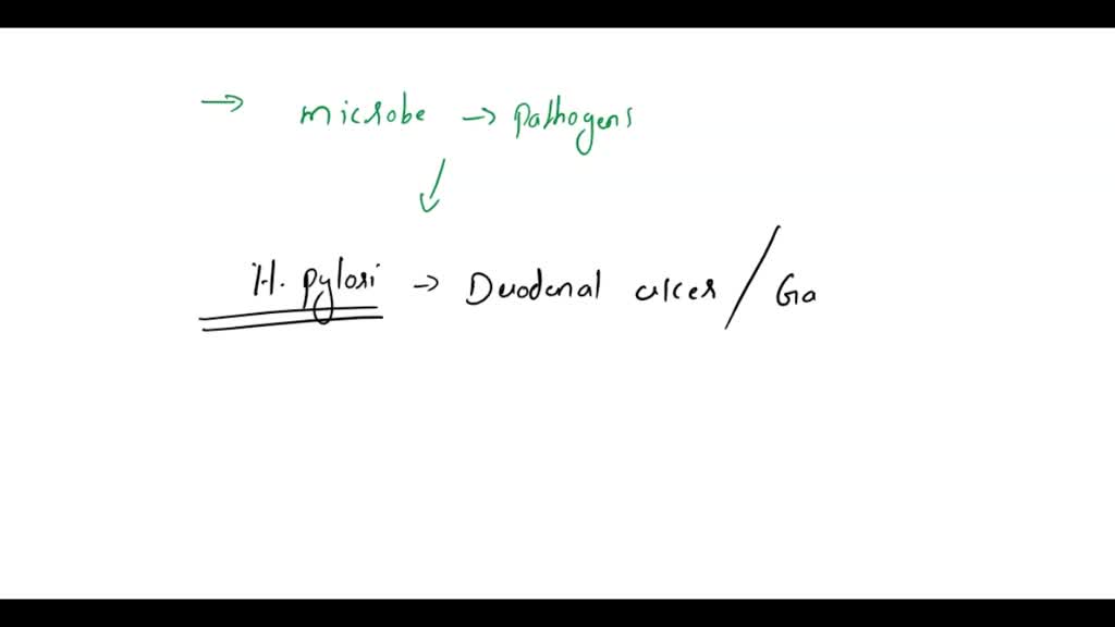 SOLVED: Question 4 1 pts A patient on NSAIDS for osteoarthritis ...