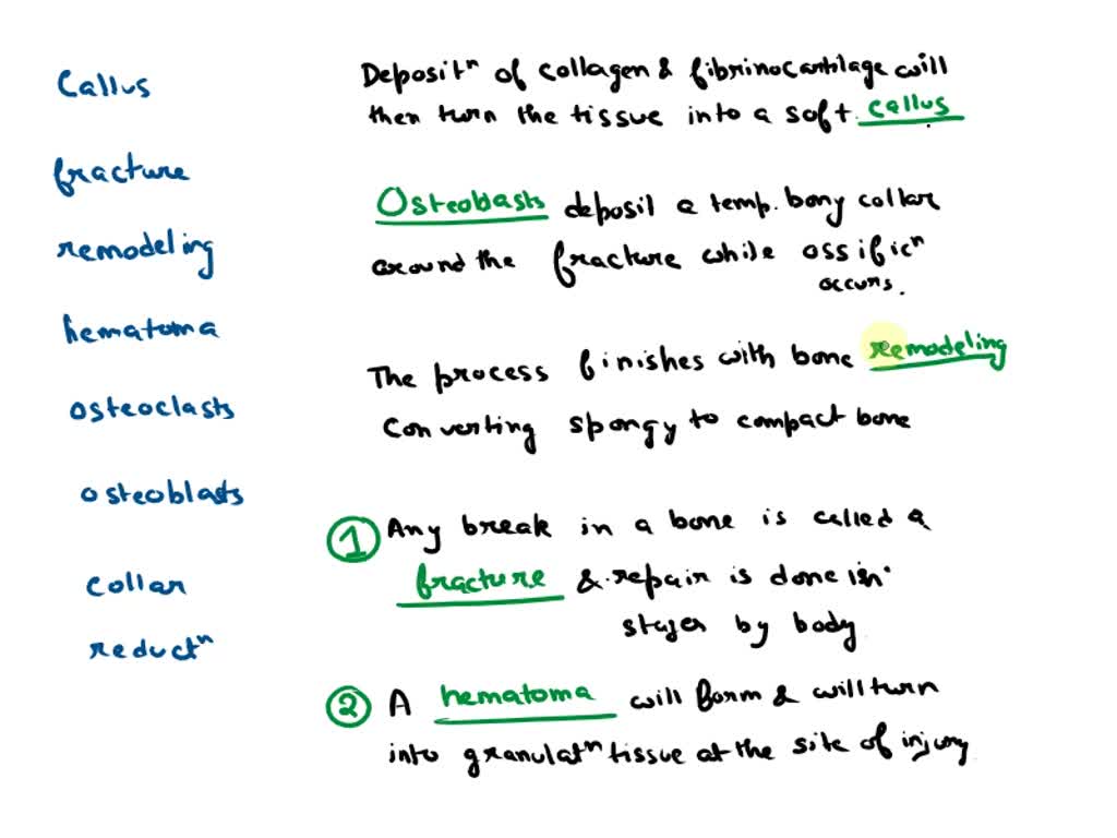 SOLVED: Insert the words into the sentences to identify the ...