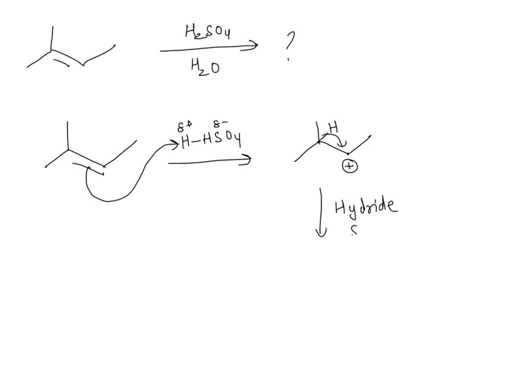 SOLVED Hjc What Is 8 8 8 The Major Product In The Following Reaction 